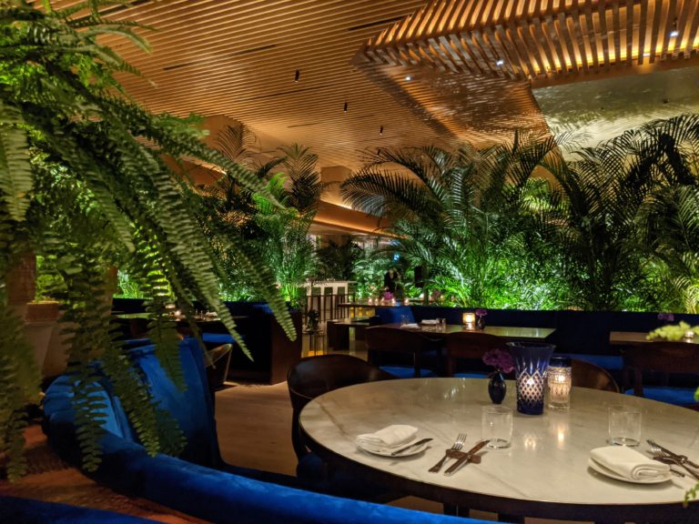 都心のジャングルを散策。エディション東京内・THE BLUE ROOMで大人のディナー | My wandering life